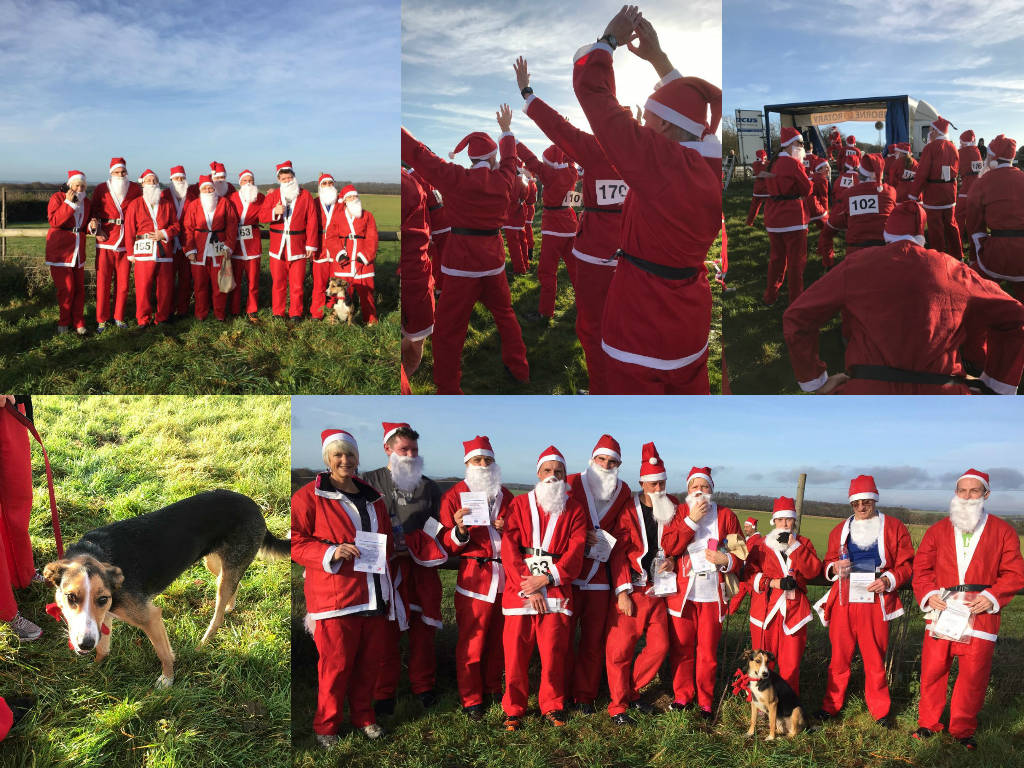 Ibcos Team Joins Great Santa Fun Run to Help Those in Need